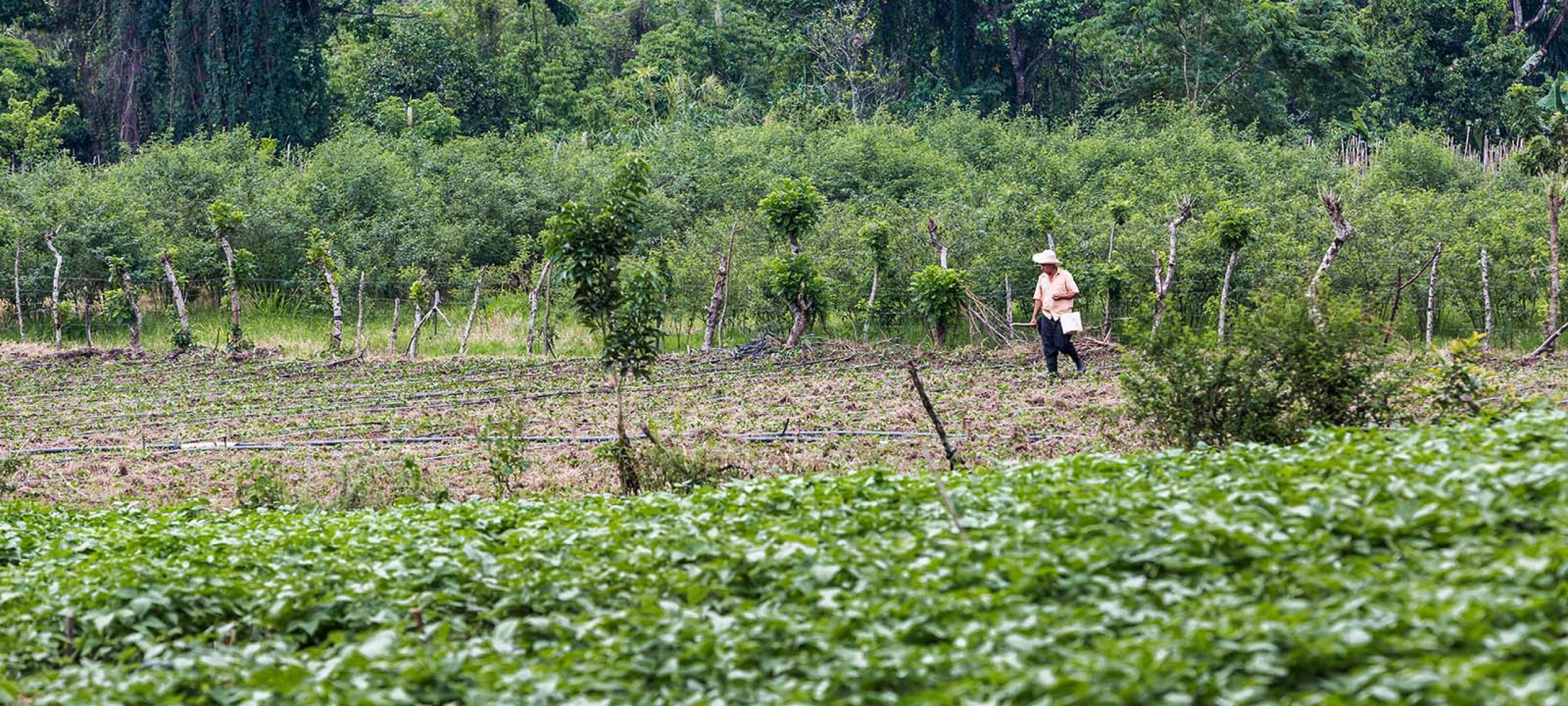 Costa Rica | Green Climate Fund