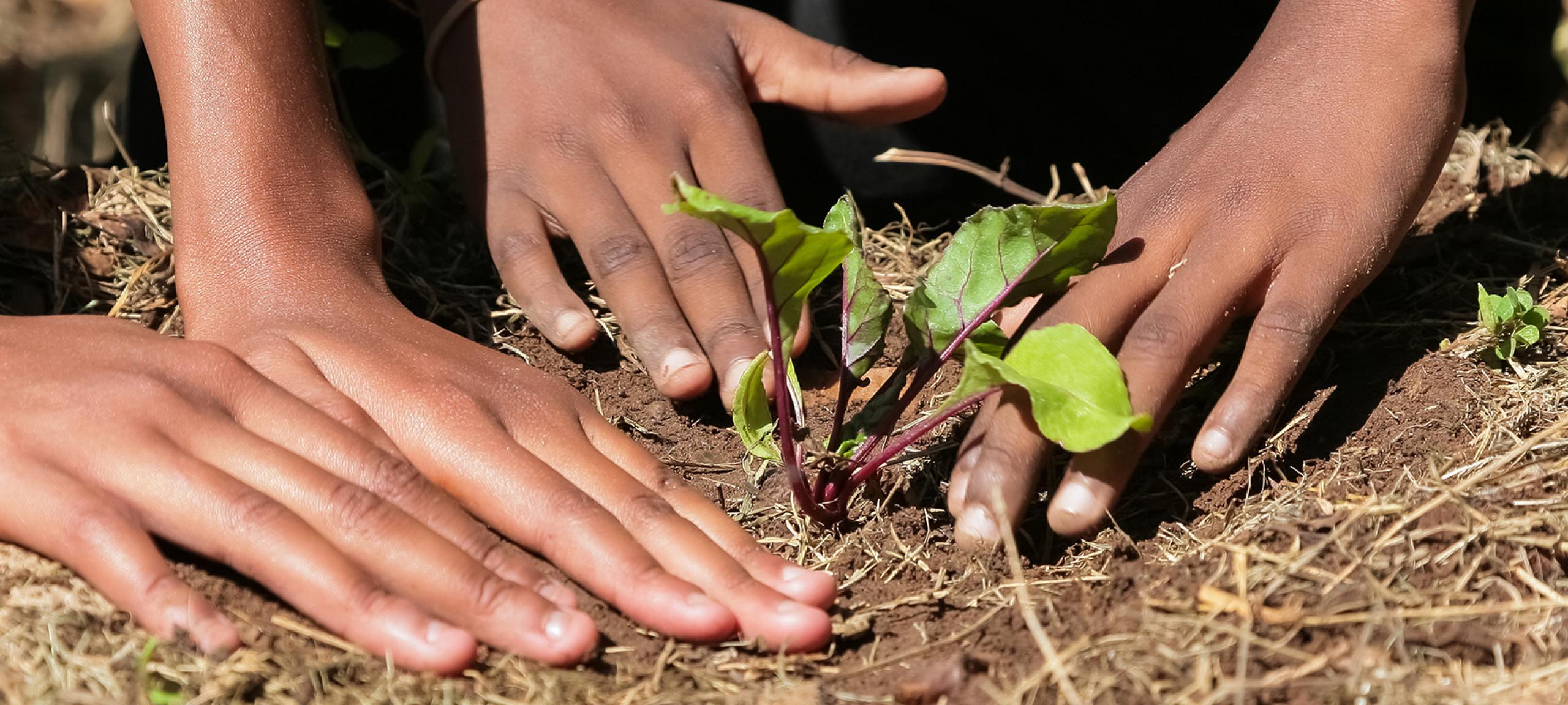 Ghana | Green Climate Fund
