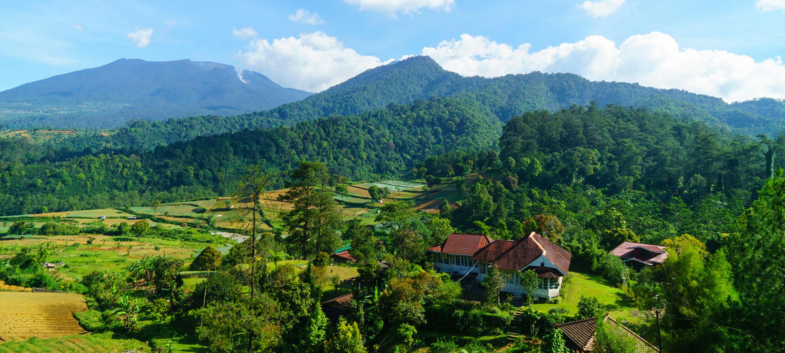 Gabon | Green Climate Fund
