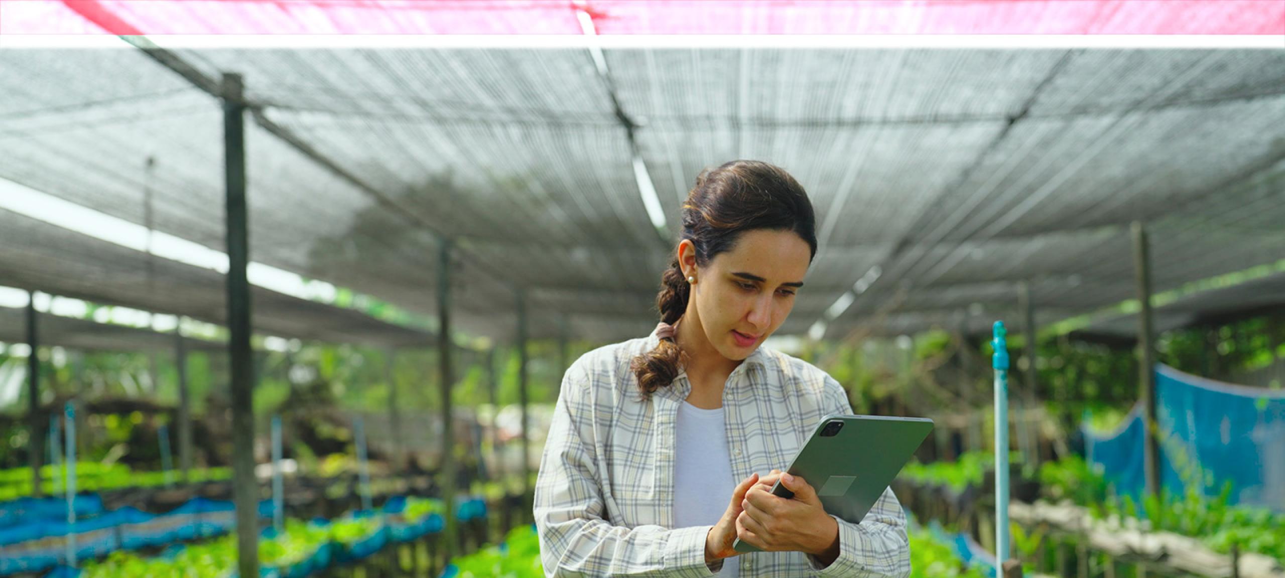 Brazil | Green Climate Fund