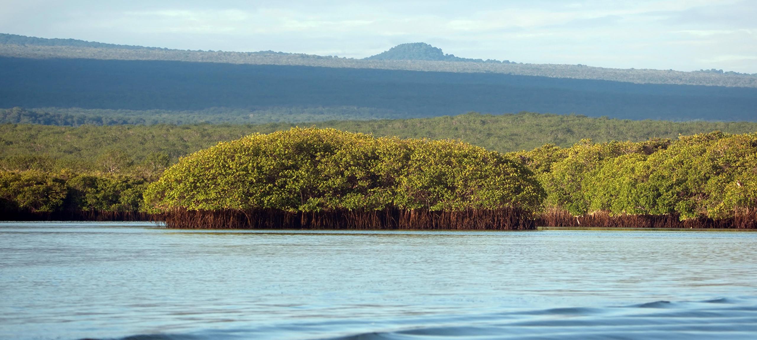 Conservation International Foundation (CI) | Green Climate Fund