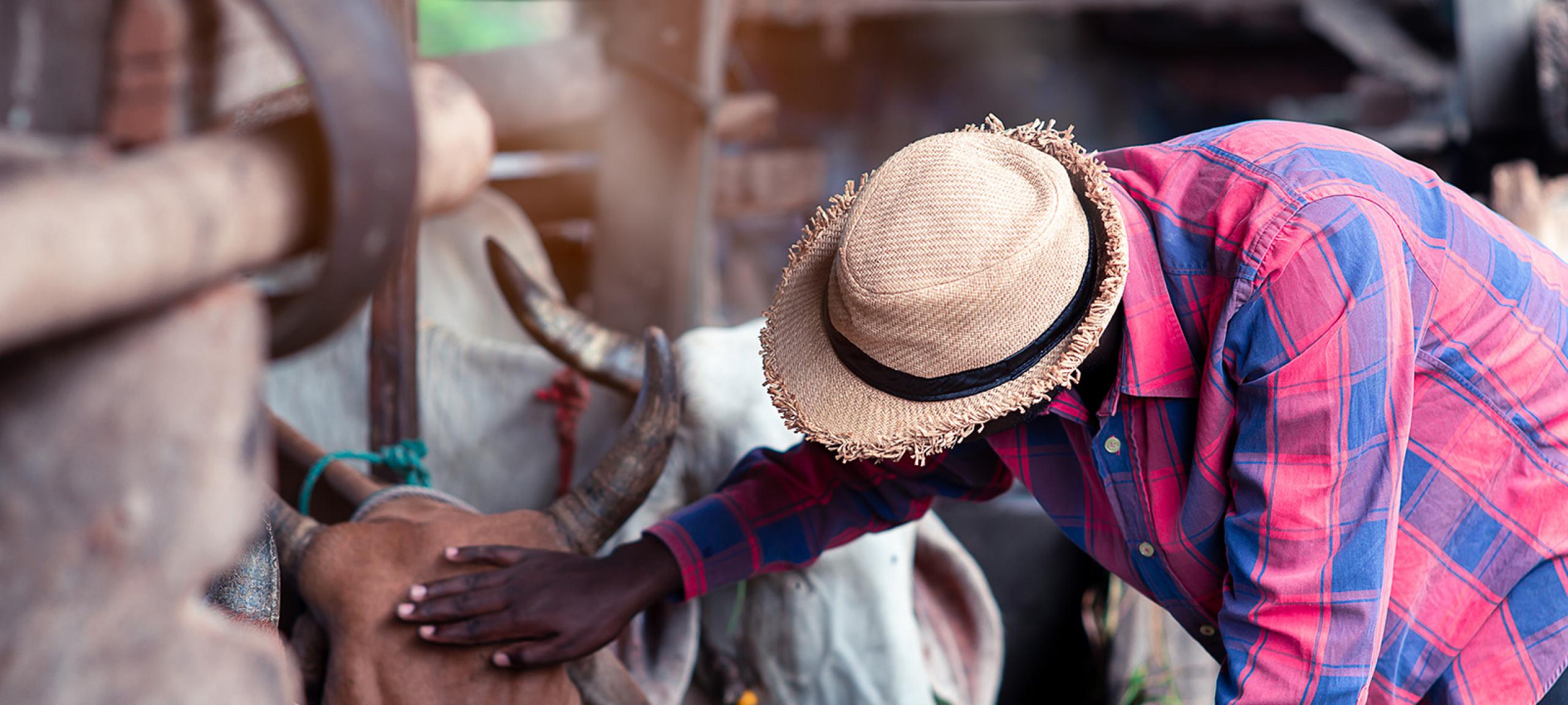 Ecosystems and ecosystem services | Green Climate Fund