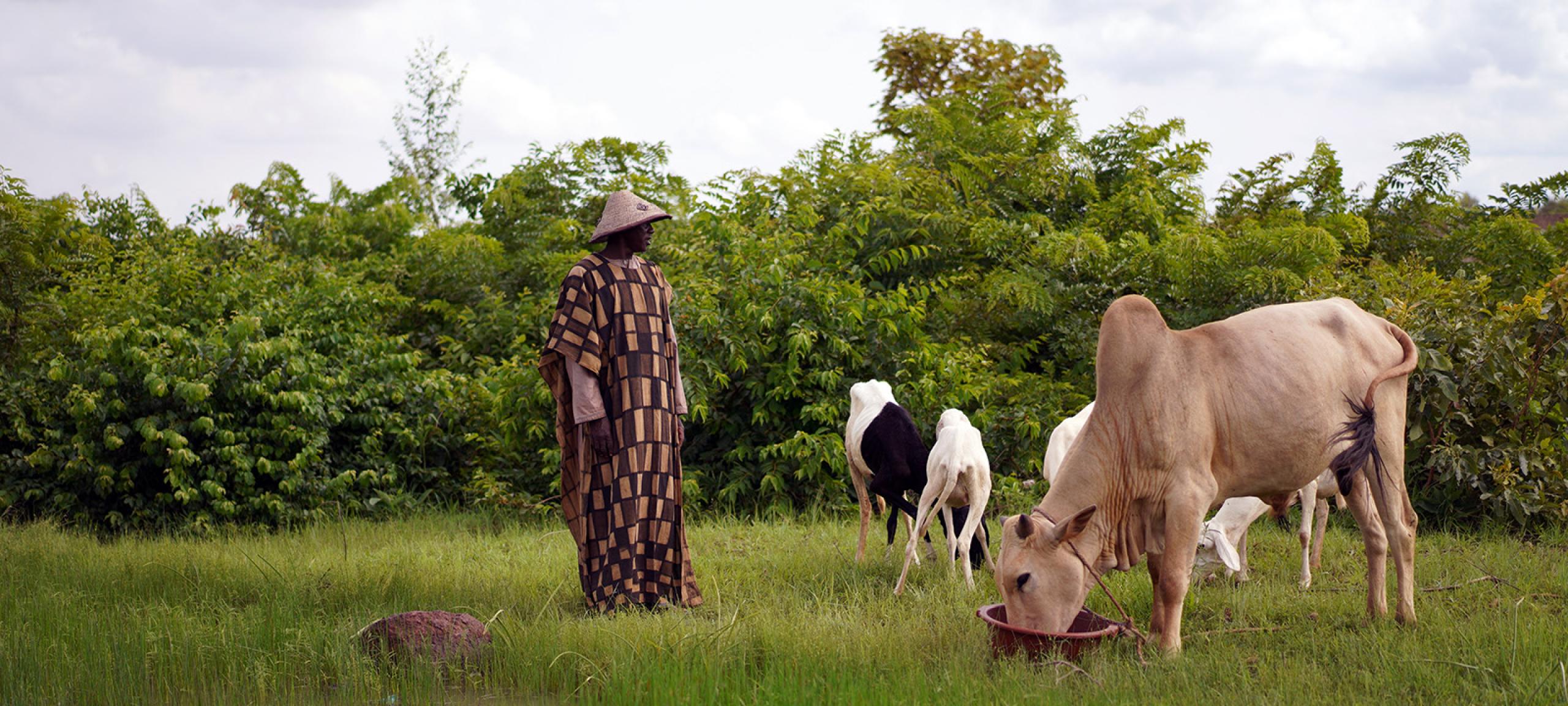 Livelihoods of people and communities | Green Climate Fund