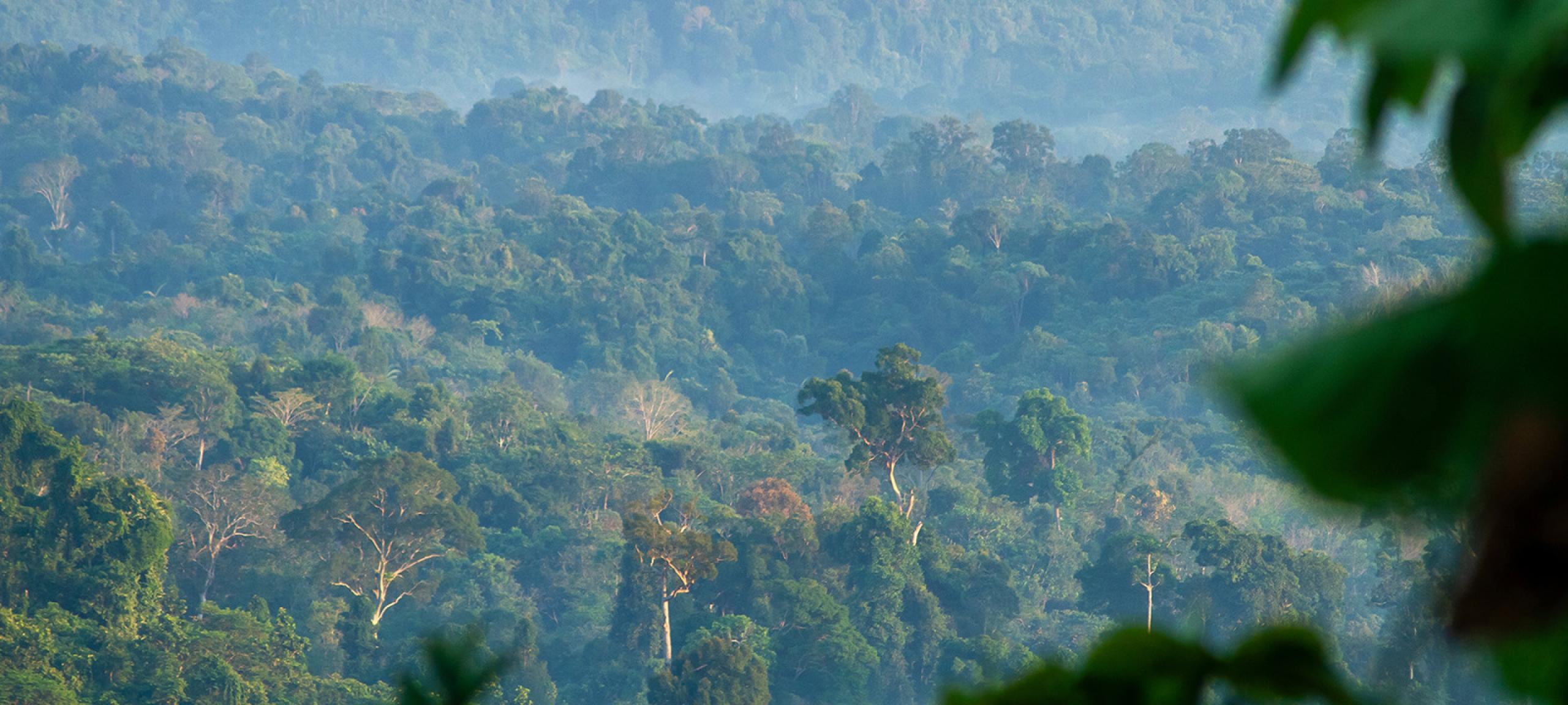 Indonesia | Green Climate Fund