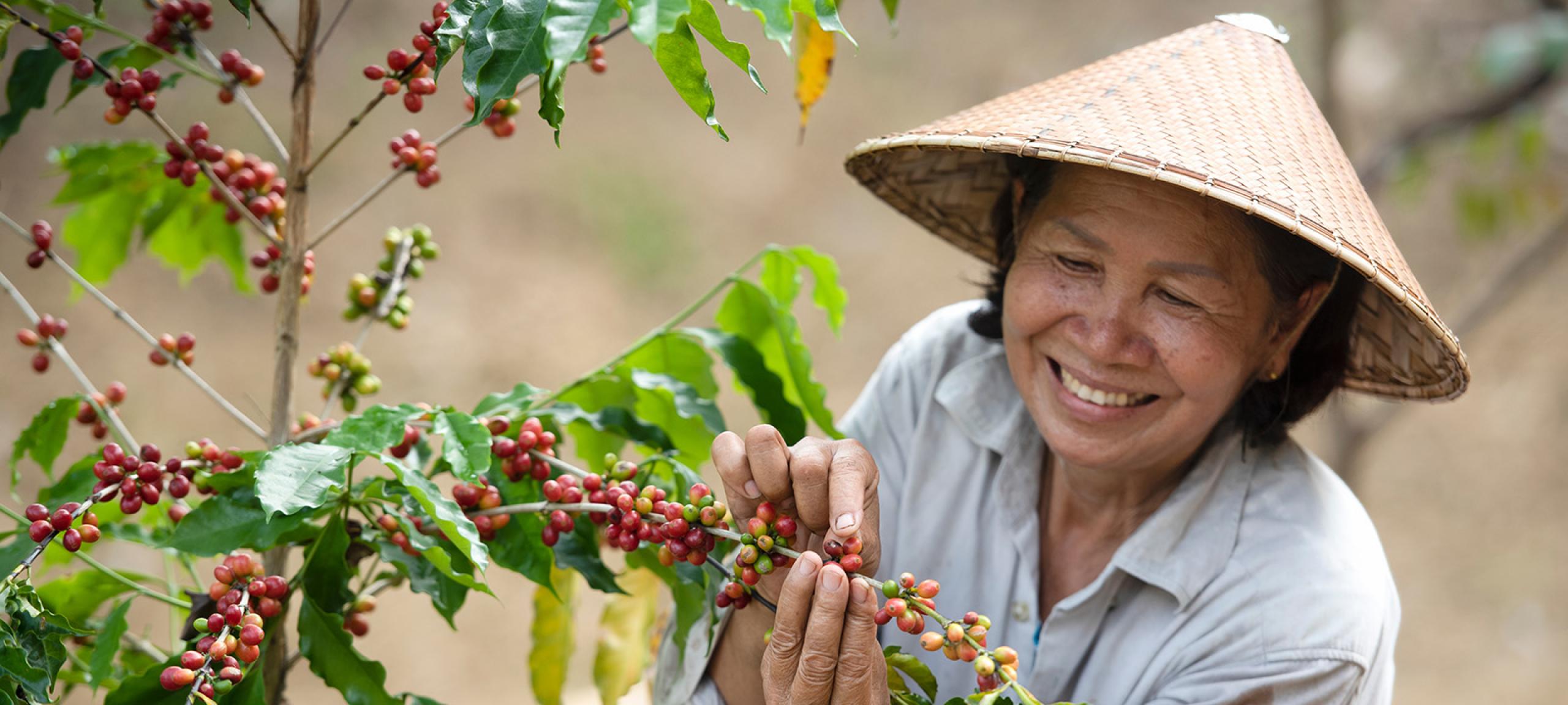 Approved projects | Green Climate Fund