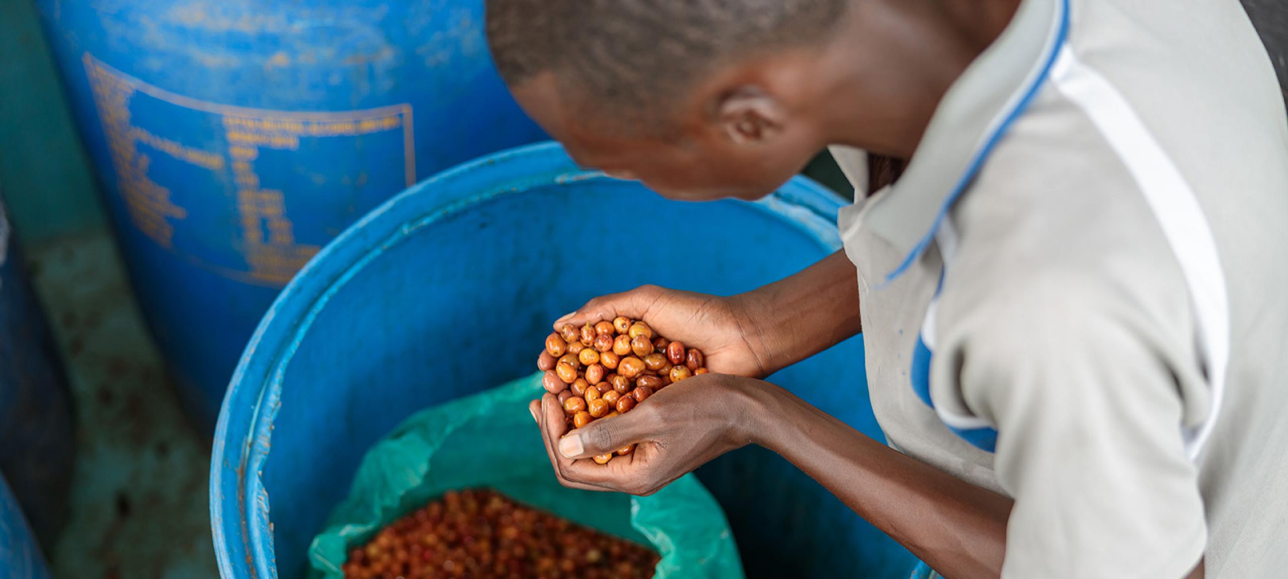 Livelihoods of people and communities | Green Climate Fund