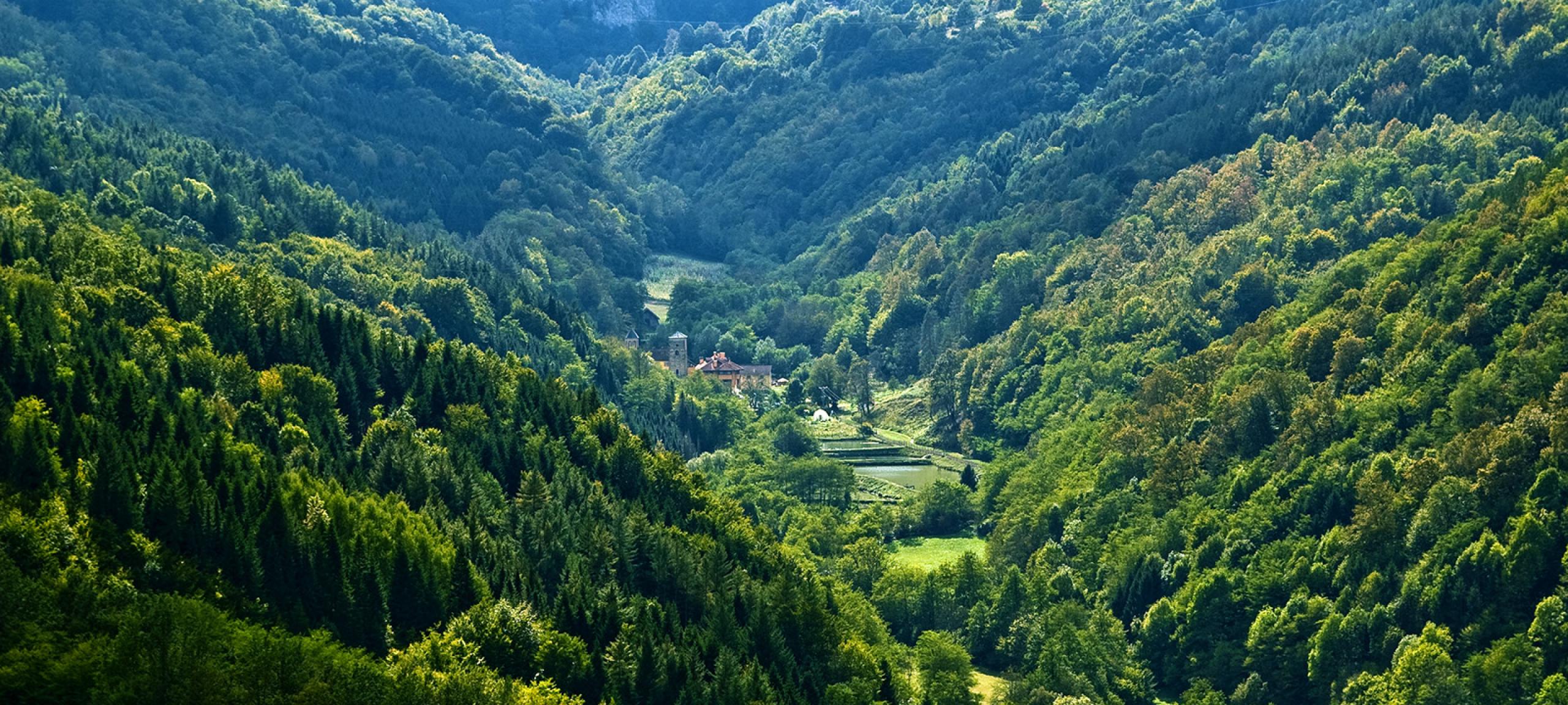 Forests and land use | Green Climate Fund