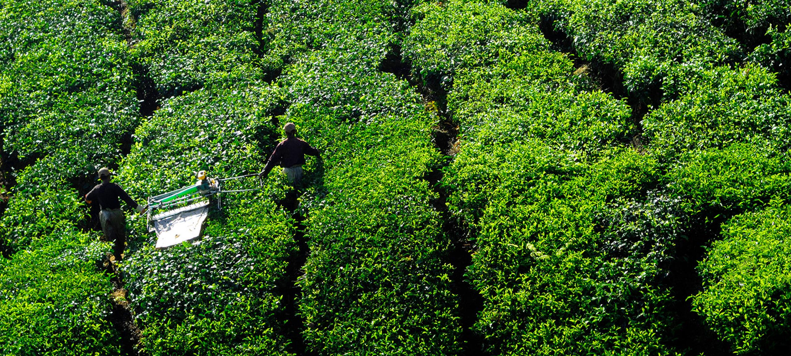 Ghana | Green Climate Fund