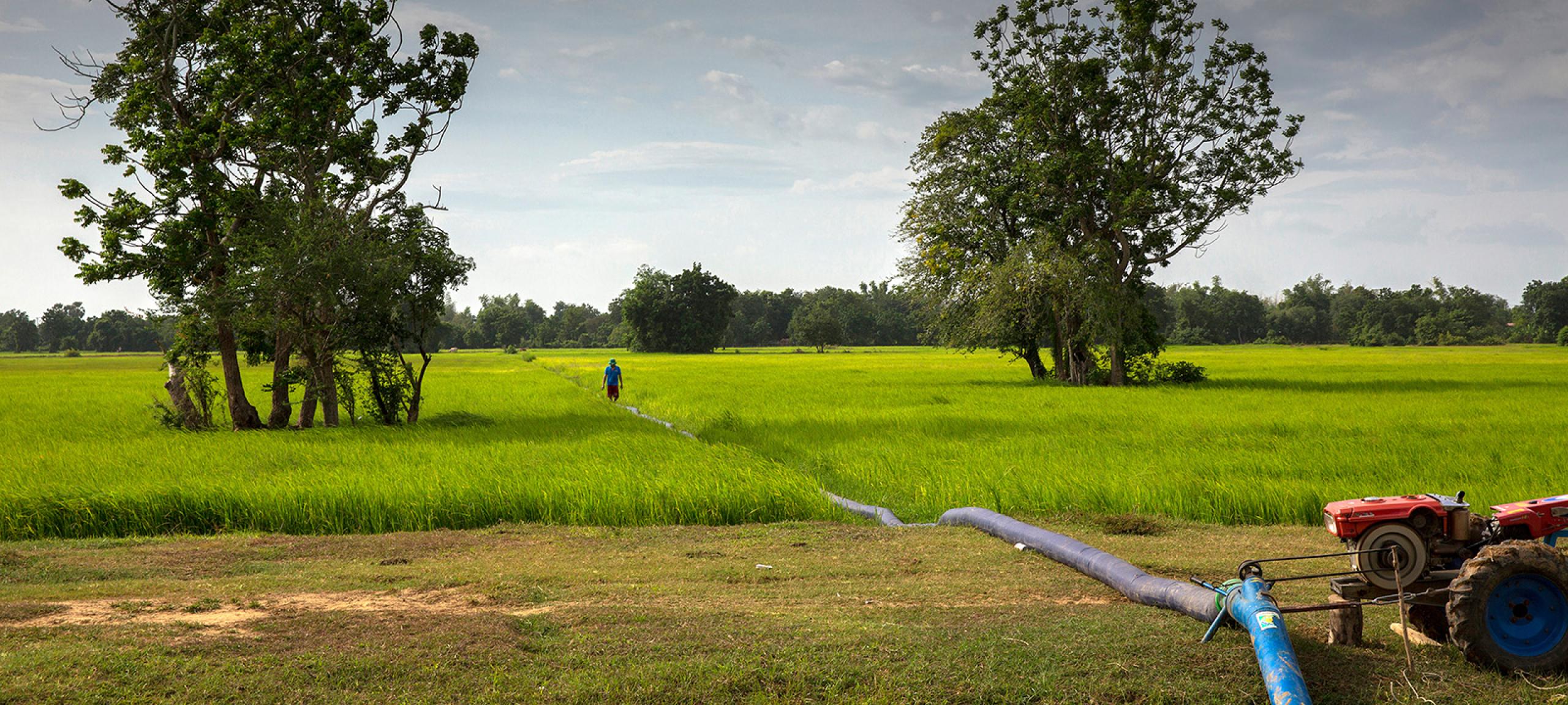 Adaptation | Green Climate Fund