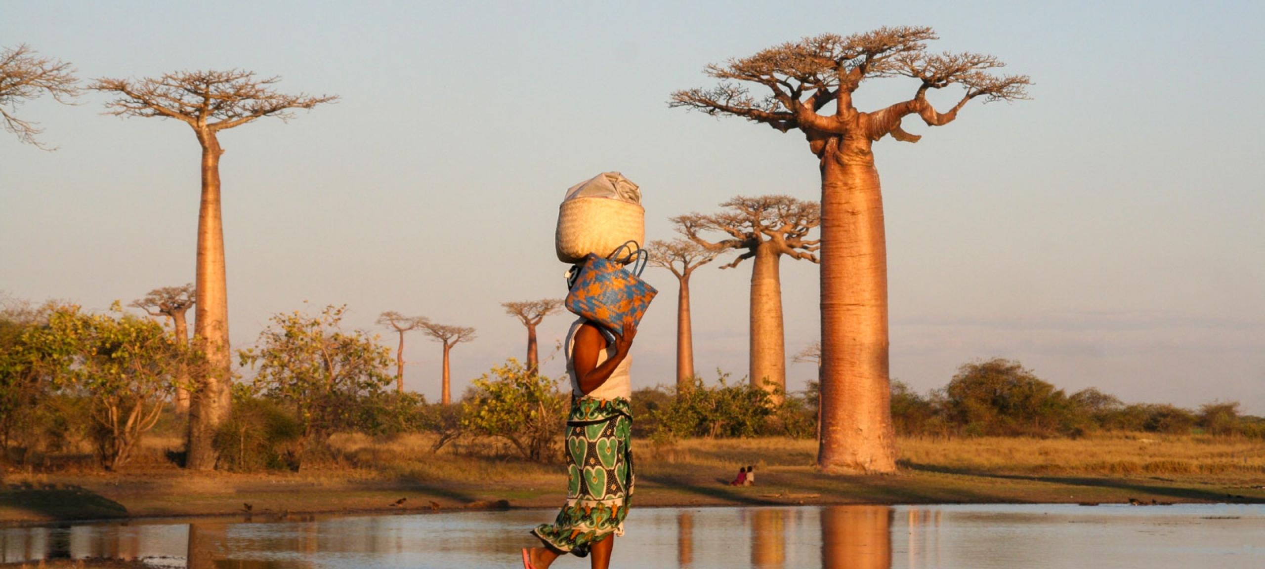 Adaptation | Green Climate Fund