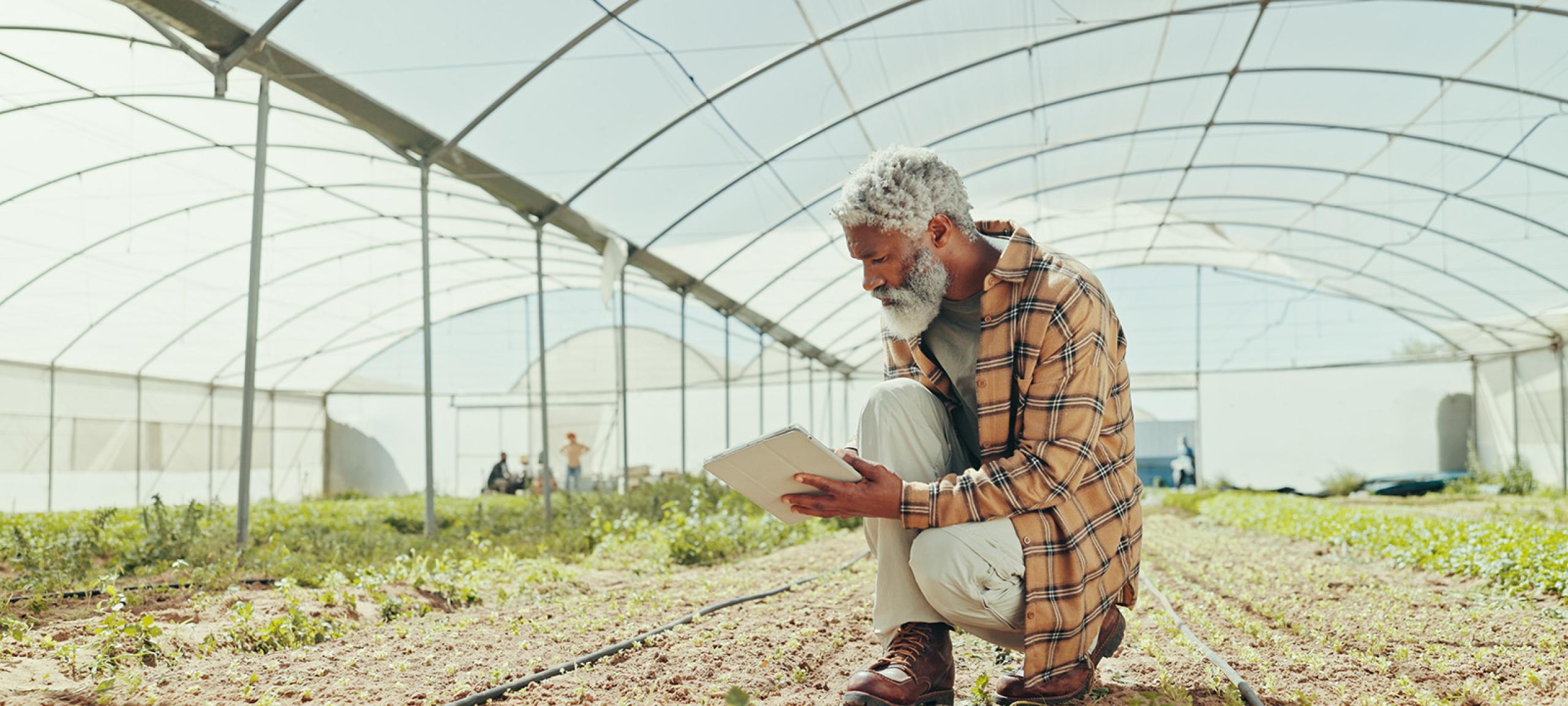 Adaptation | Green Climate Fund