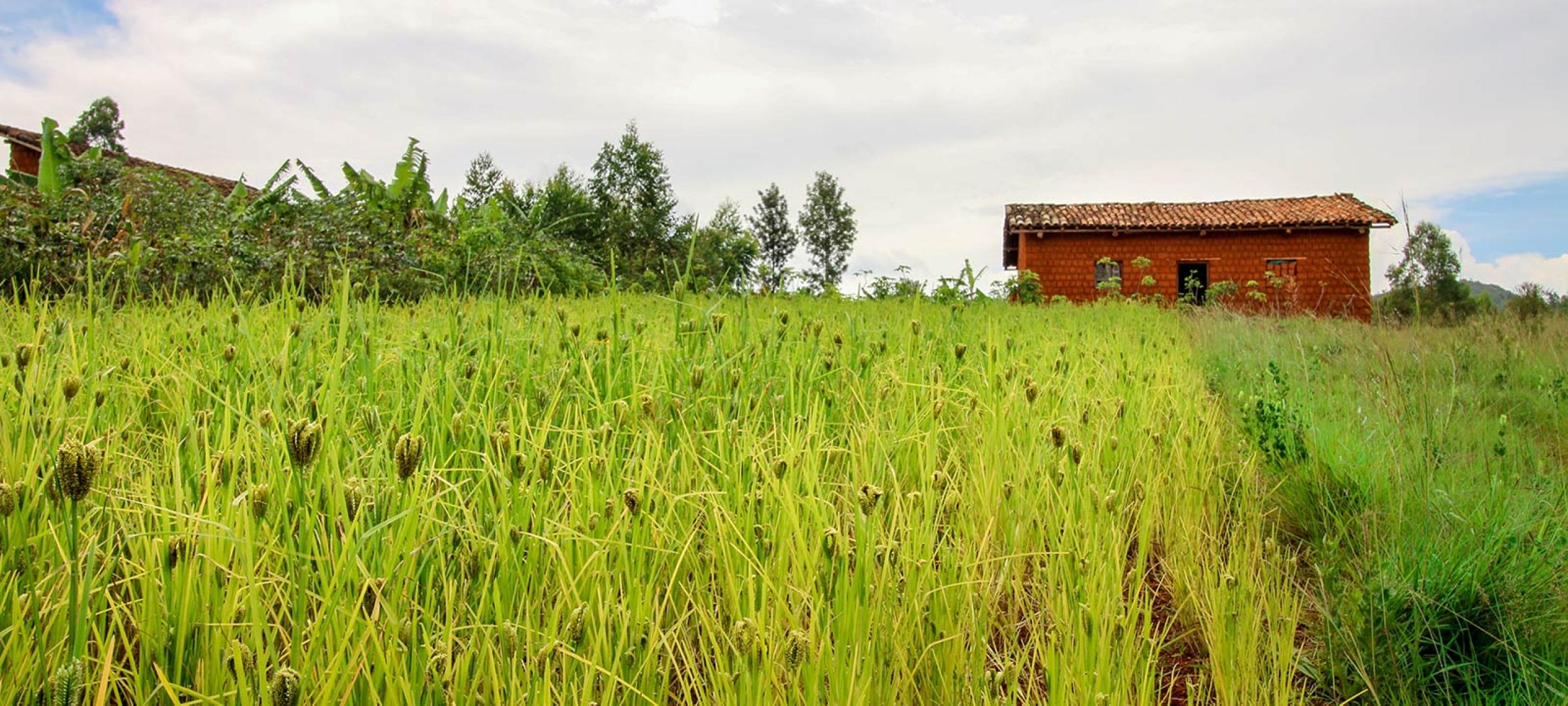 Burundi | Green Climate Fund