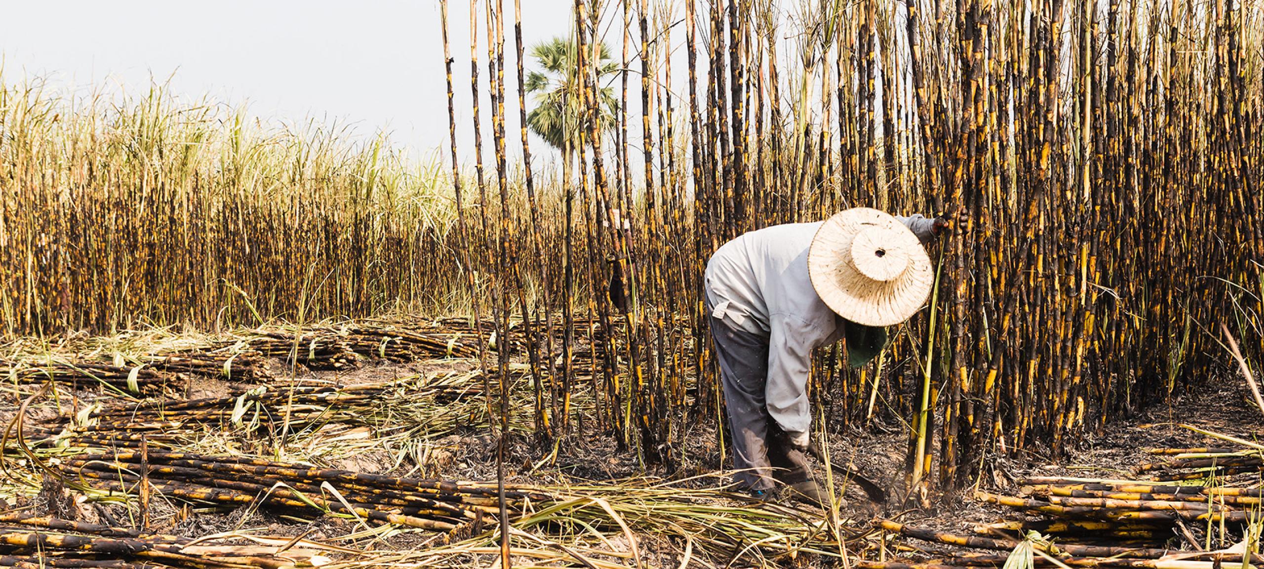 Belize | Green Climate Fund
