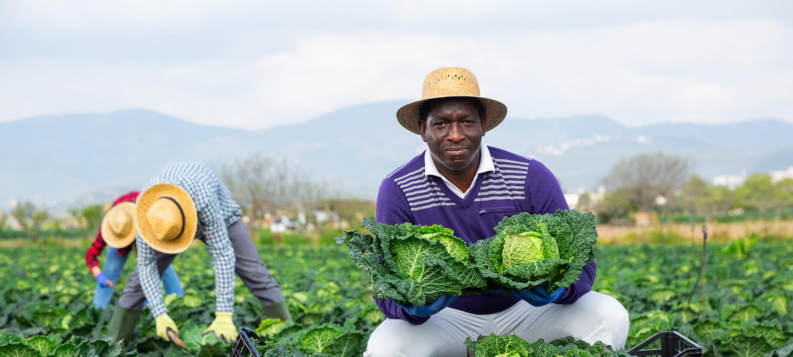 Senegal | Green Climate Fund