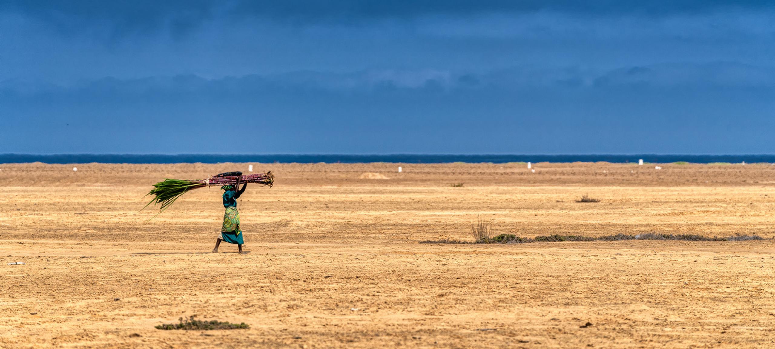Locally Led Climate Action | Green Climate Fund