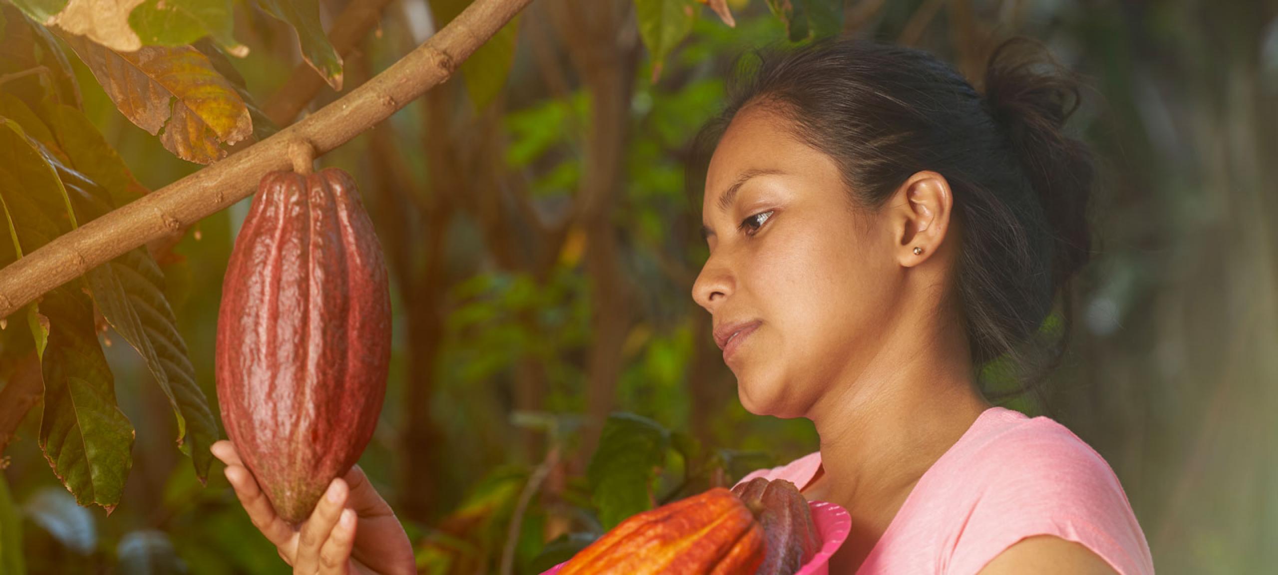 Adaptation | Green Climate Fund