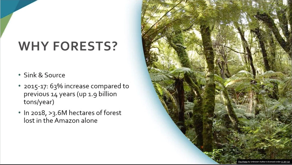 Introduction to GCF's work on the forest and land use sector | Green ...